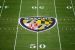 32 Teams: Fun Fact On Every NFL Football Team